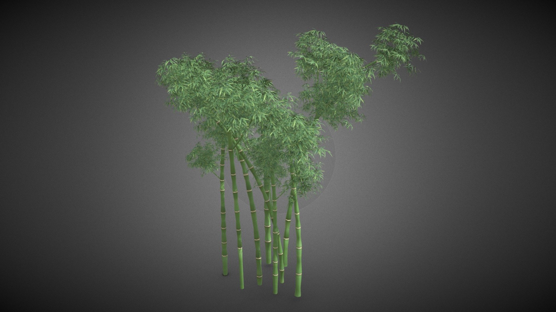 Bamboo tree - Buy Royalty Free 3D model by misitewang [37d7d8d ...
