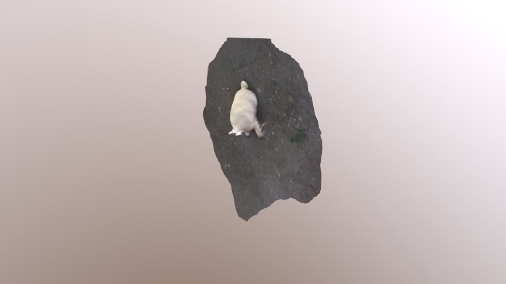 newWhitePuddle - Download Free 3D model by julzabowskx [37e3ac4 ...