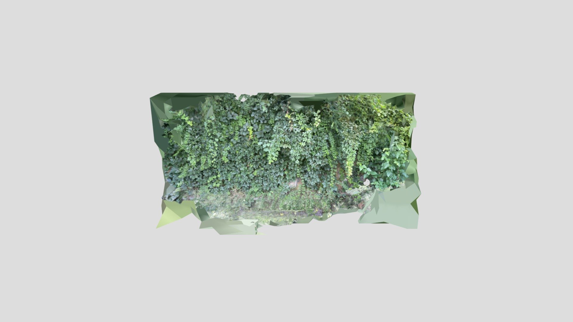 Ivy Wall 2 - Download Free 3D model by RayZh (@horizon_studios ...