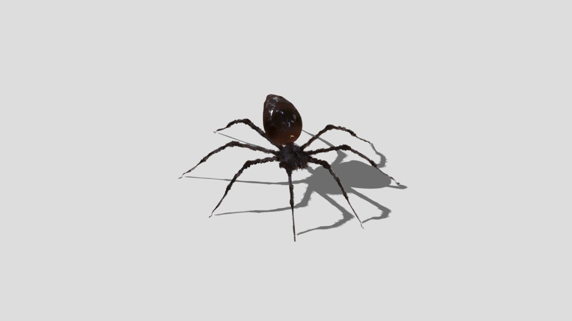 Spider - Download Free 3D model by chrismartin1337 [3804fb5] - Sketchfab