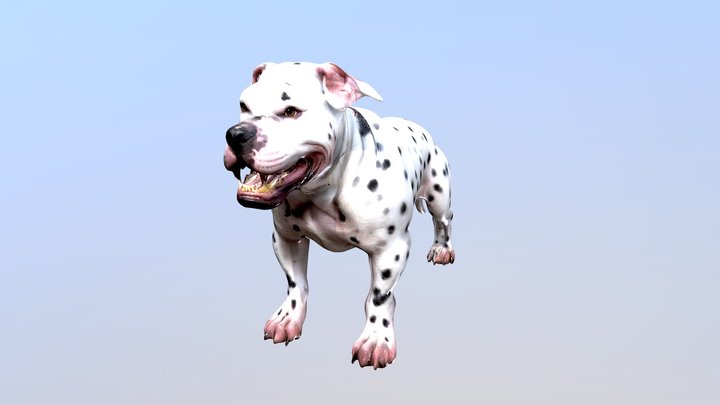 Pitbull 3D models - Sketchfab