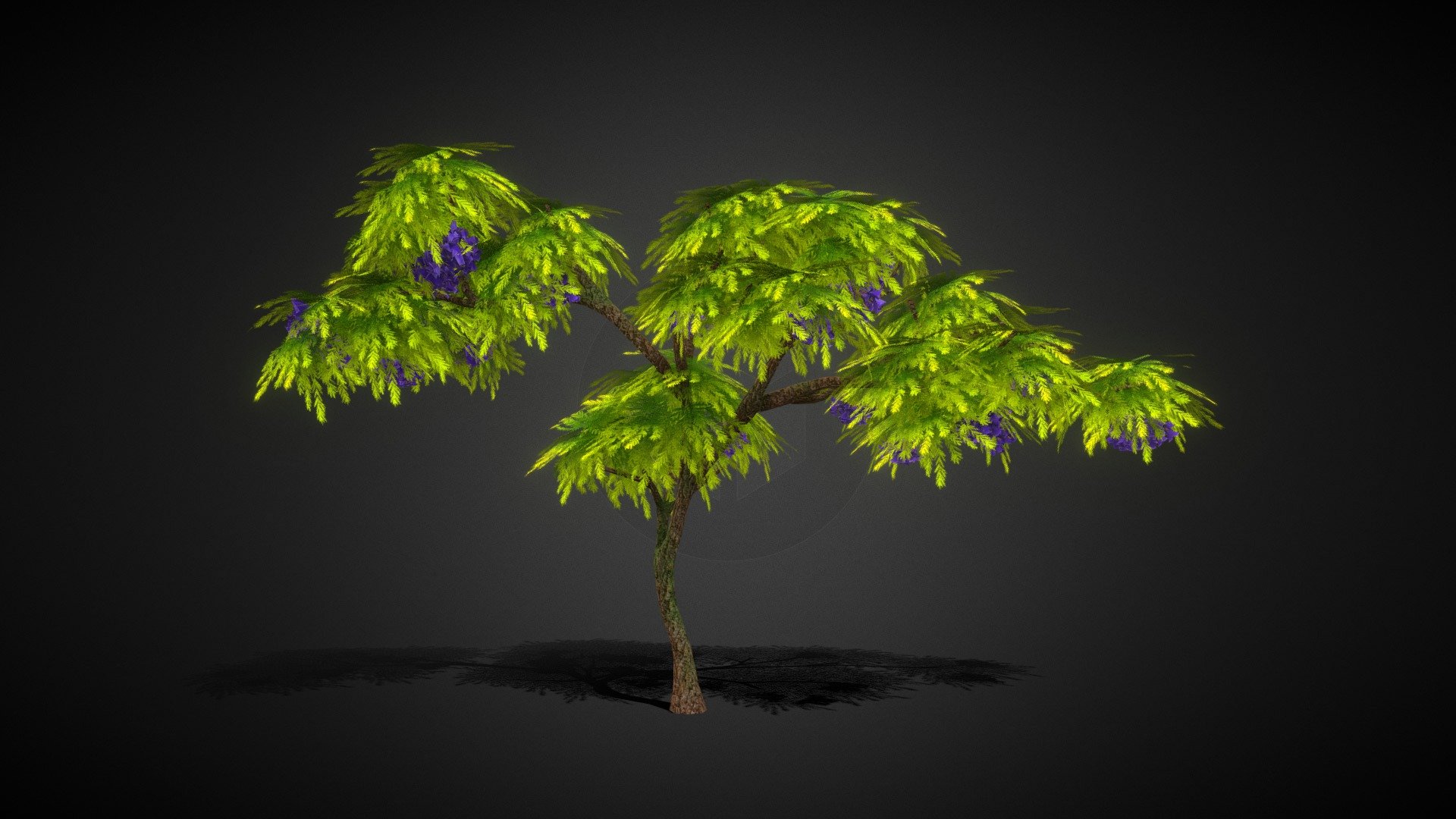JACARANDA_TREE - Download Free 3D model by Uncanny Bingchilling ...
