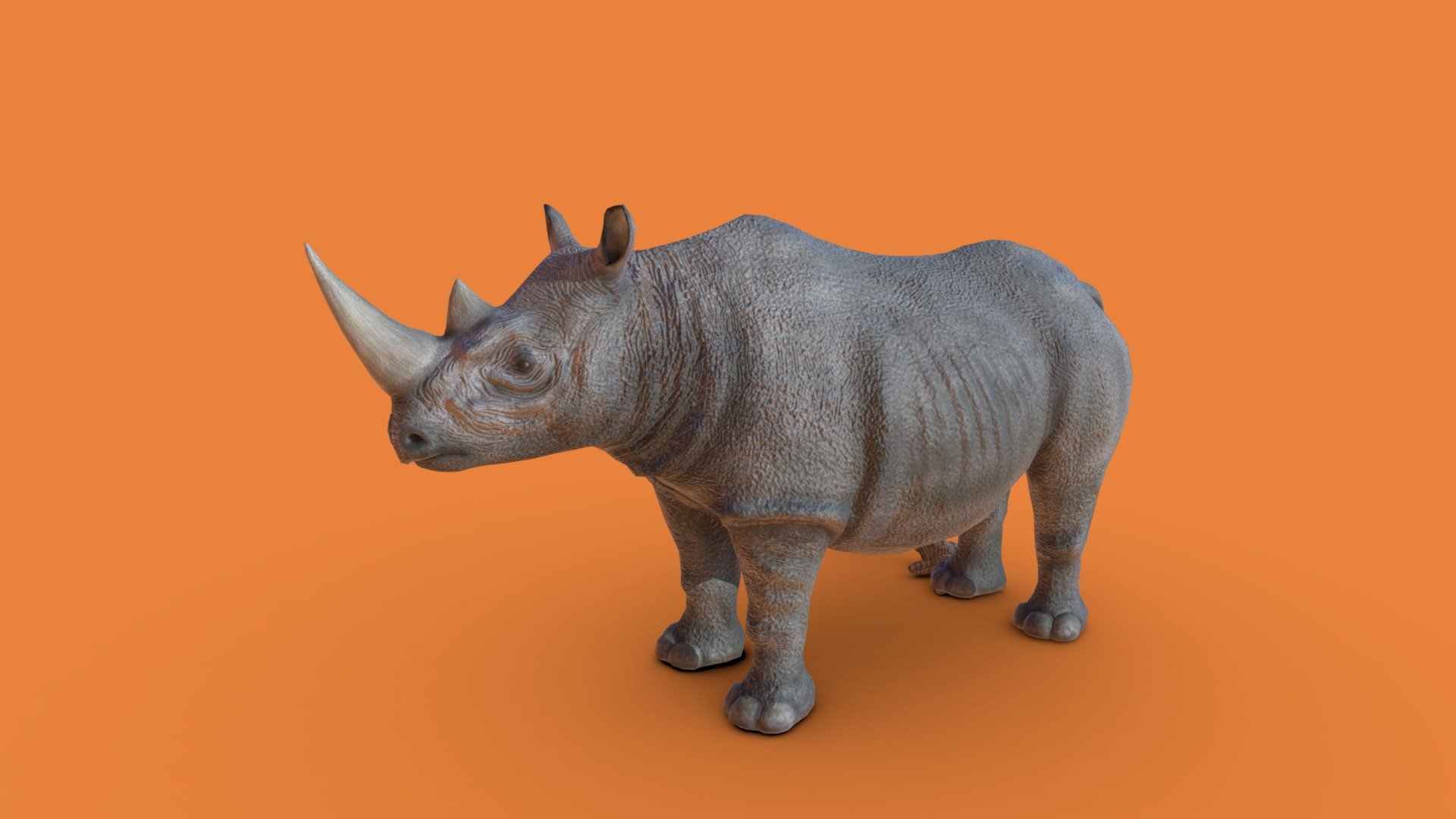 Rhino - 3D model by zulo3d [380b017] - Sketchfab