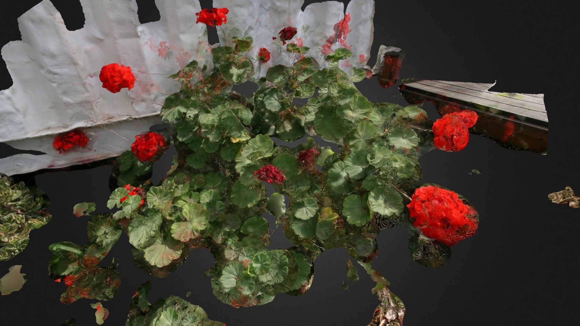 Red geranium - 3D model by Luis (@habitainer) [3811126] - Sketchfab