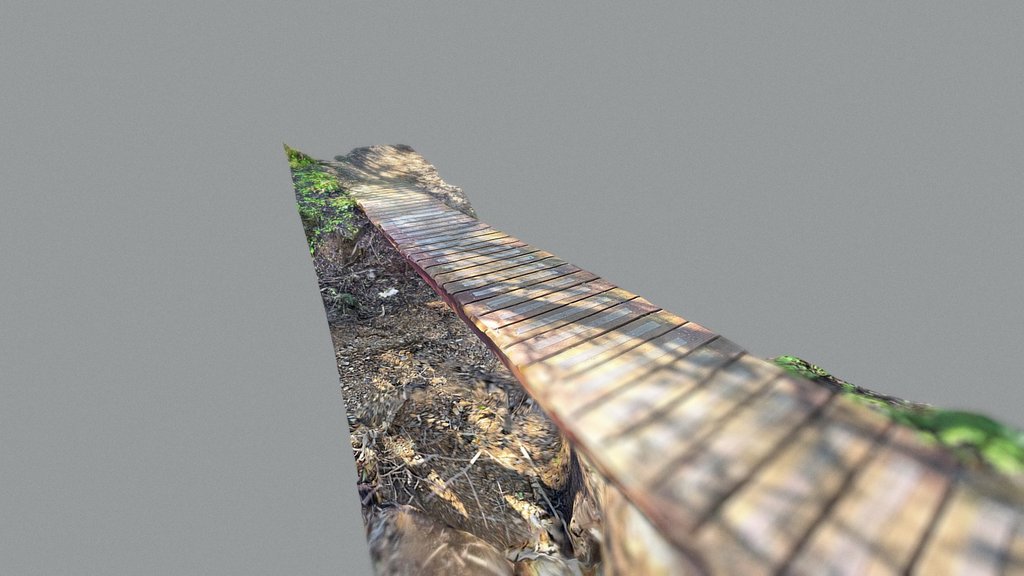 Nature - A 3D model collection by Sundown (@Sundown1928) - Sketchfab