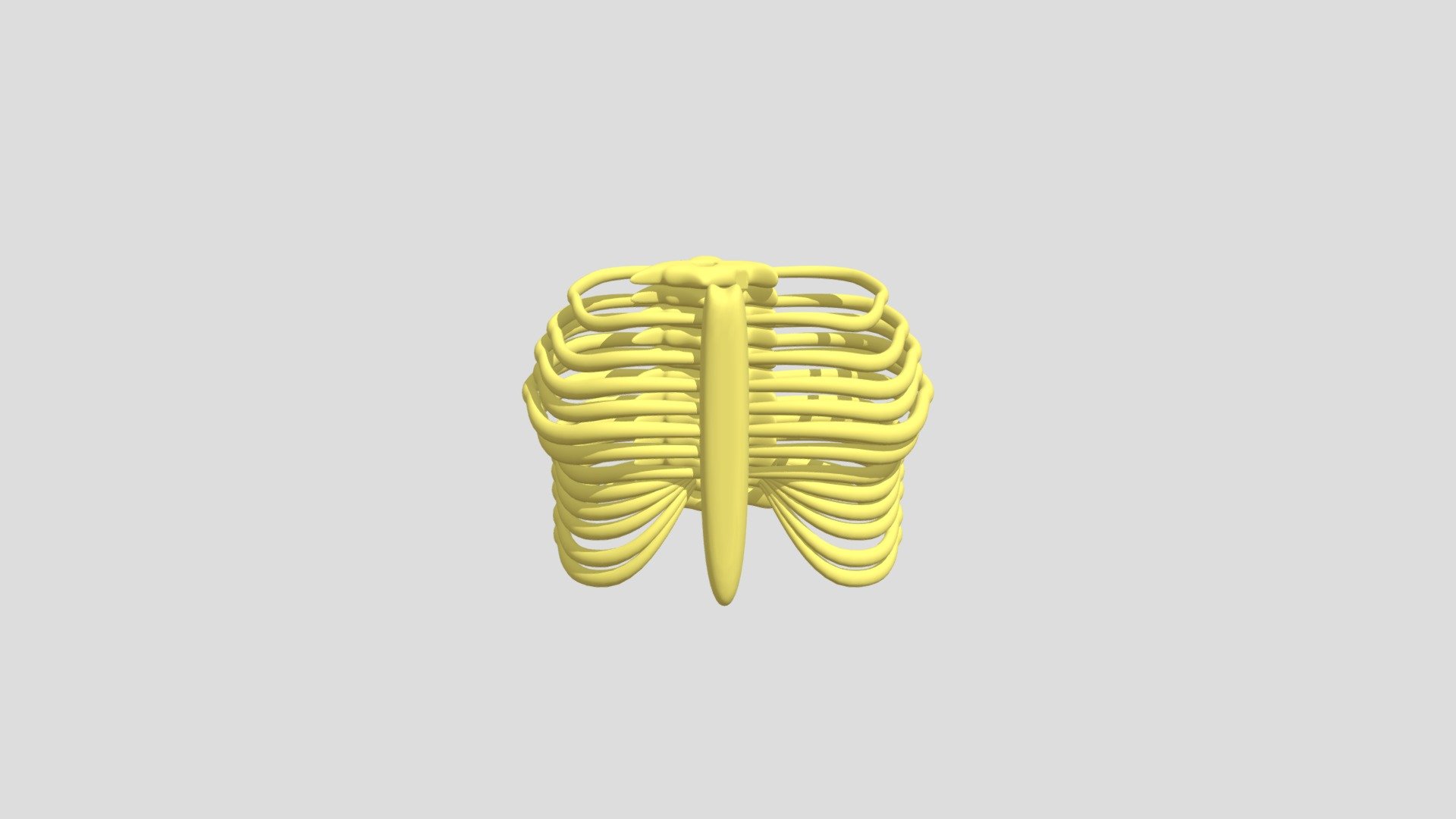 Rib - 3D model by shivoosingh789 [381335c] - Sketchfab