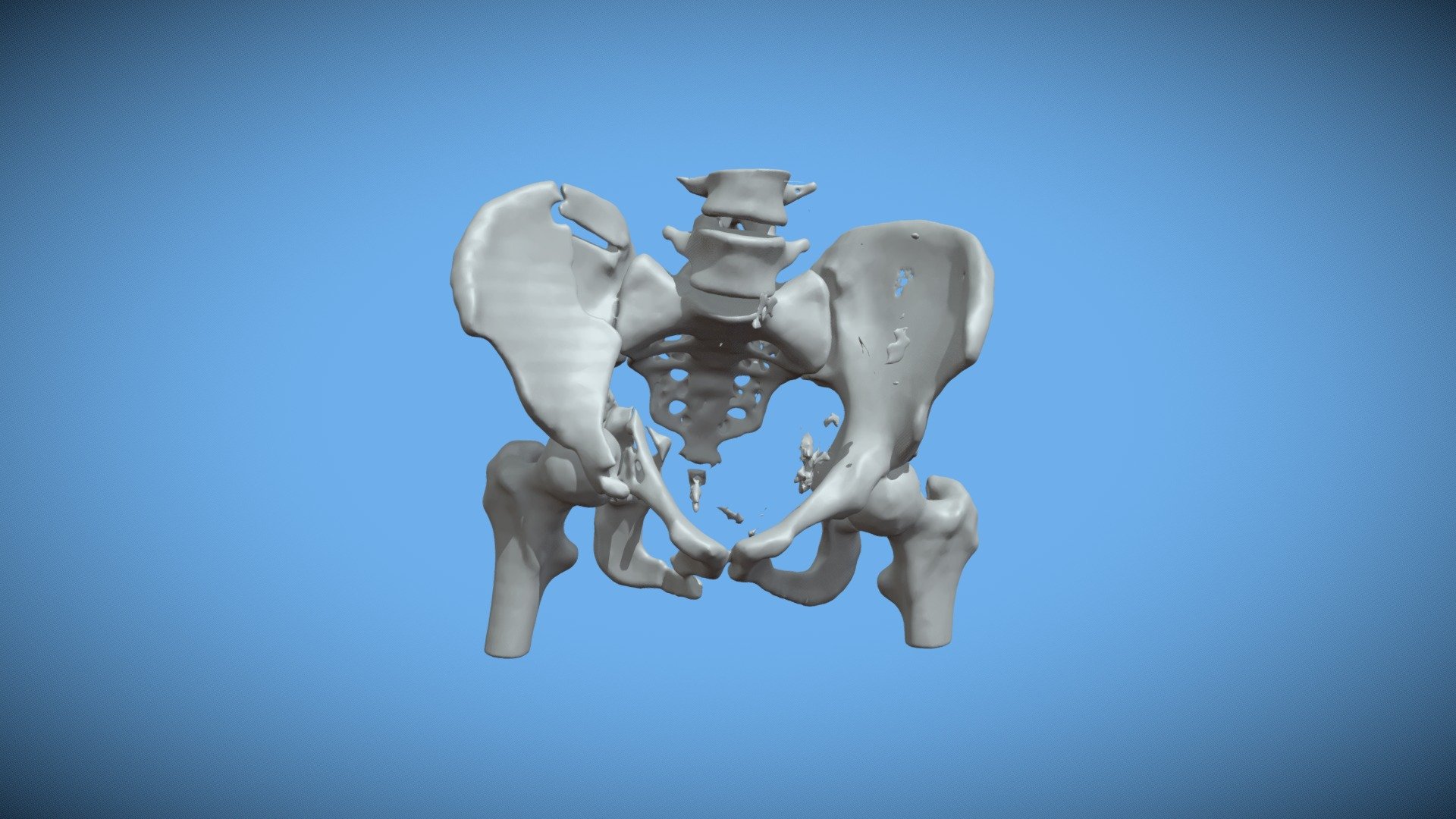 Frank_decimated_c3 - 3D model by vampucci [3815d22] - Sketchfab