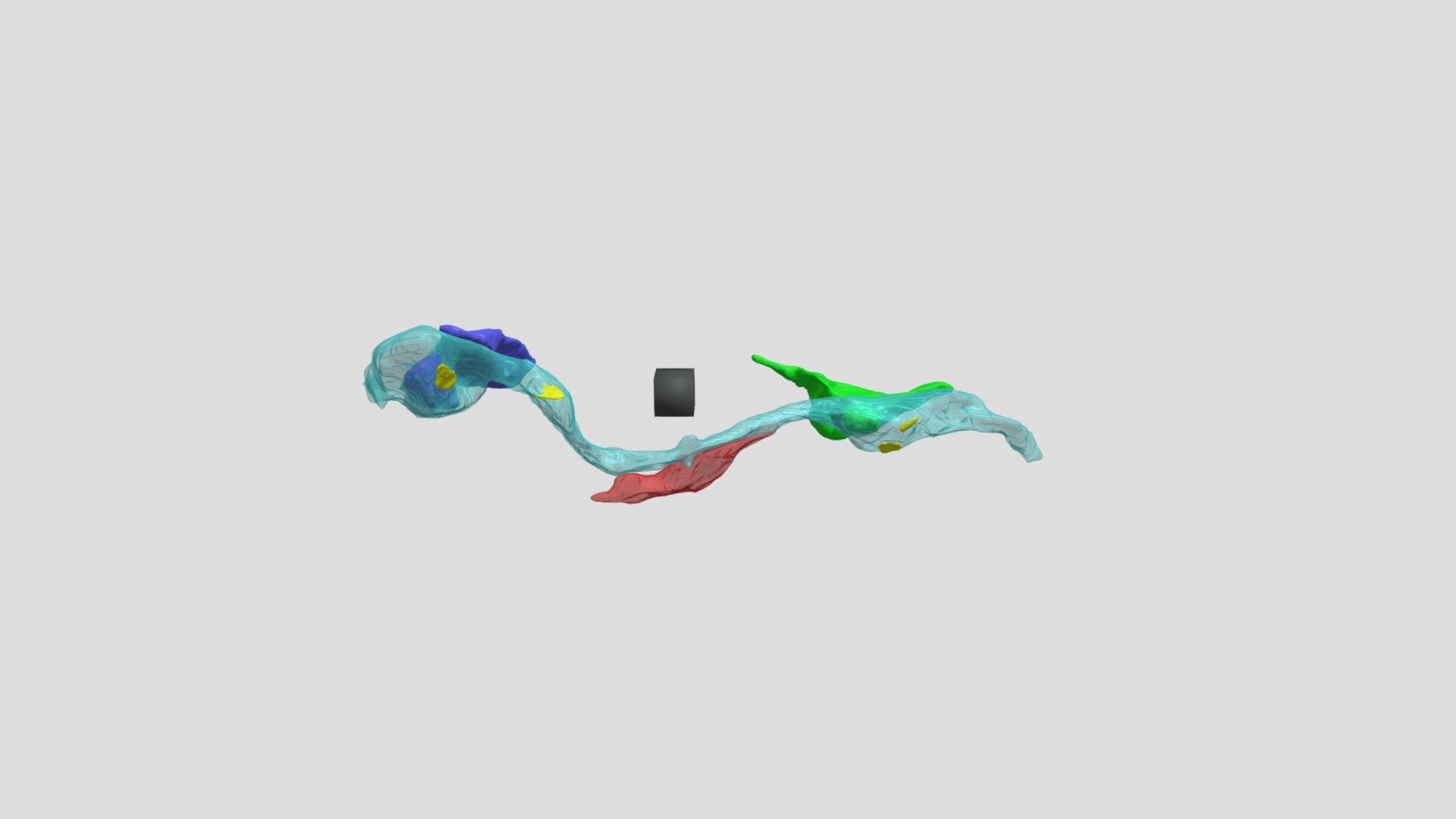 Excitatory Axon Reconstruction - 3D model by Ashley-04 [38169ff ...