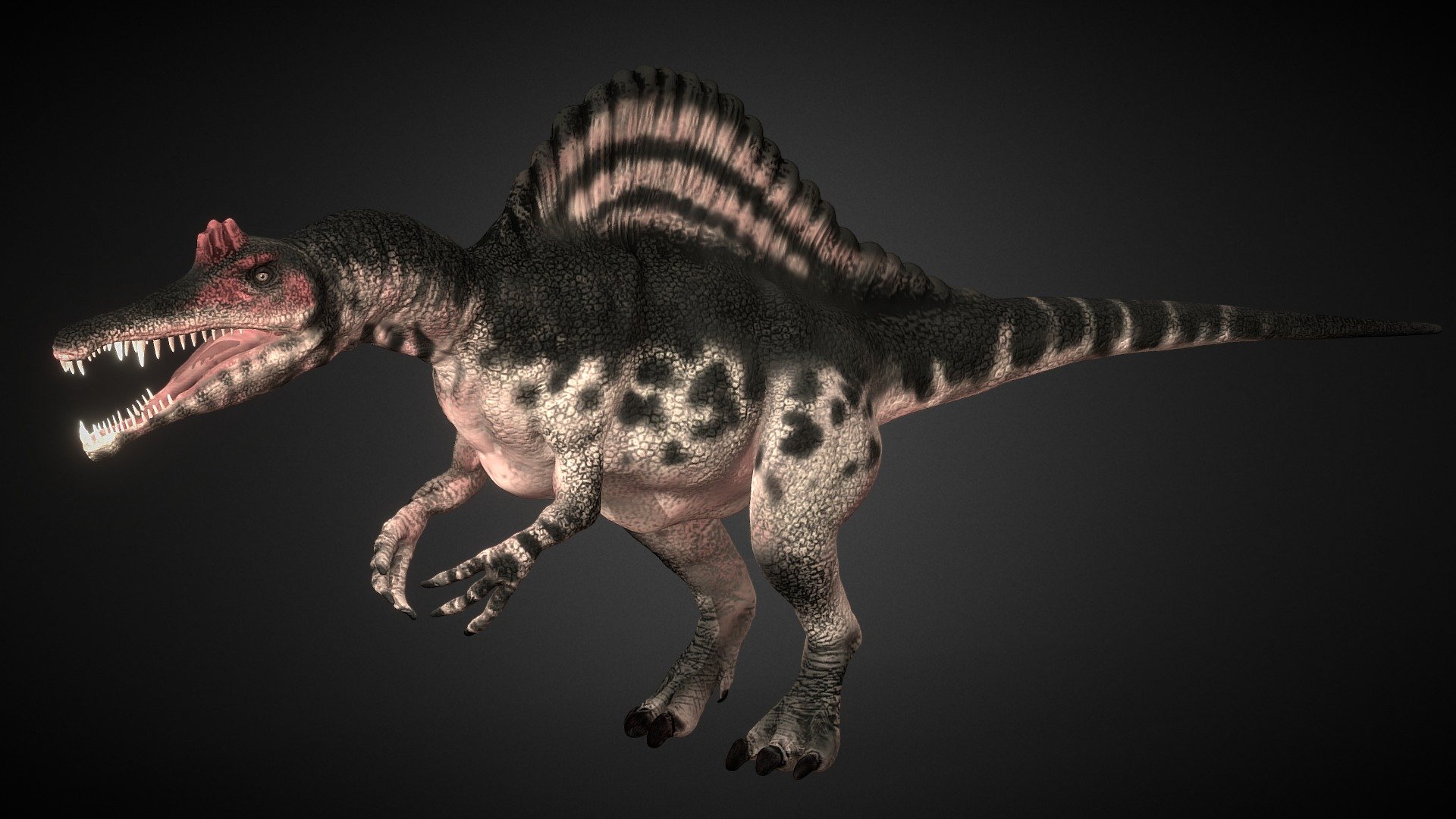 Spinosaurus - 3D model by Óscar Hernández (@oscarhernandez) [381829b ...