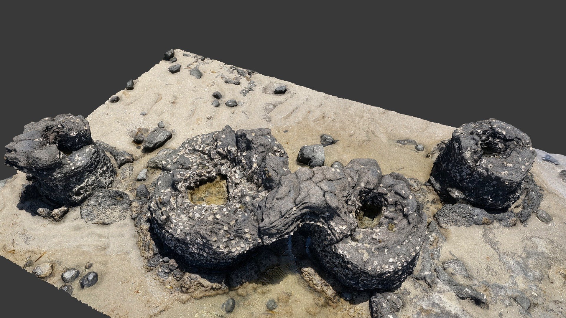 Lava tree casts at Takapuna 4 - Download Free 3D model by b_nealie ...