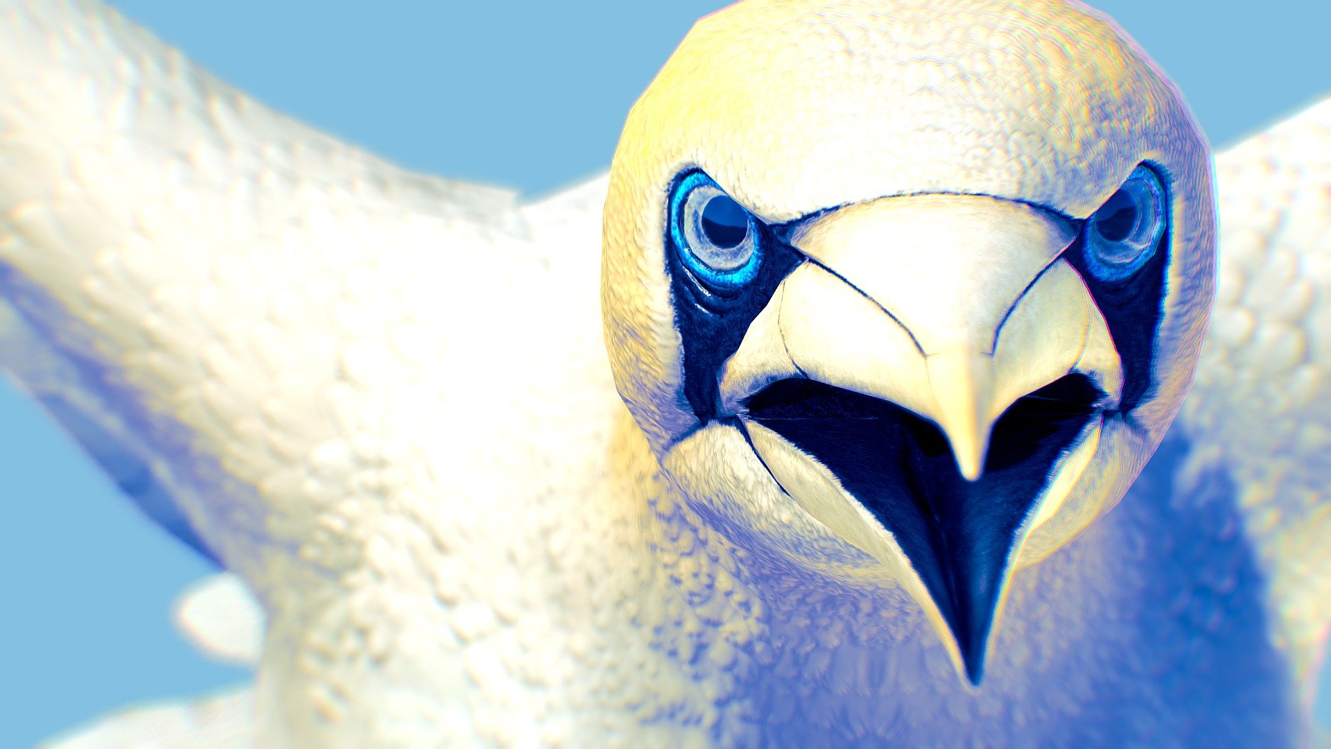 Gannet - 3D model by pitfighter [3823649] - Sketchfab