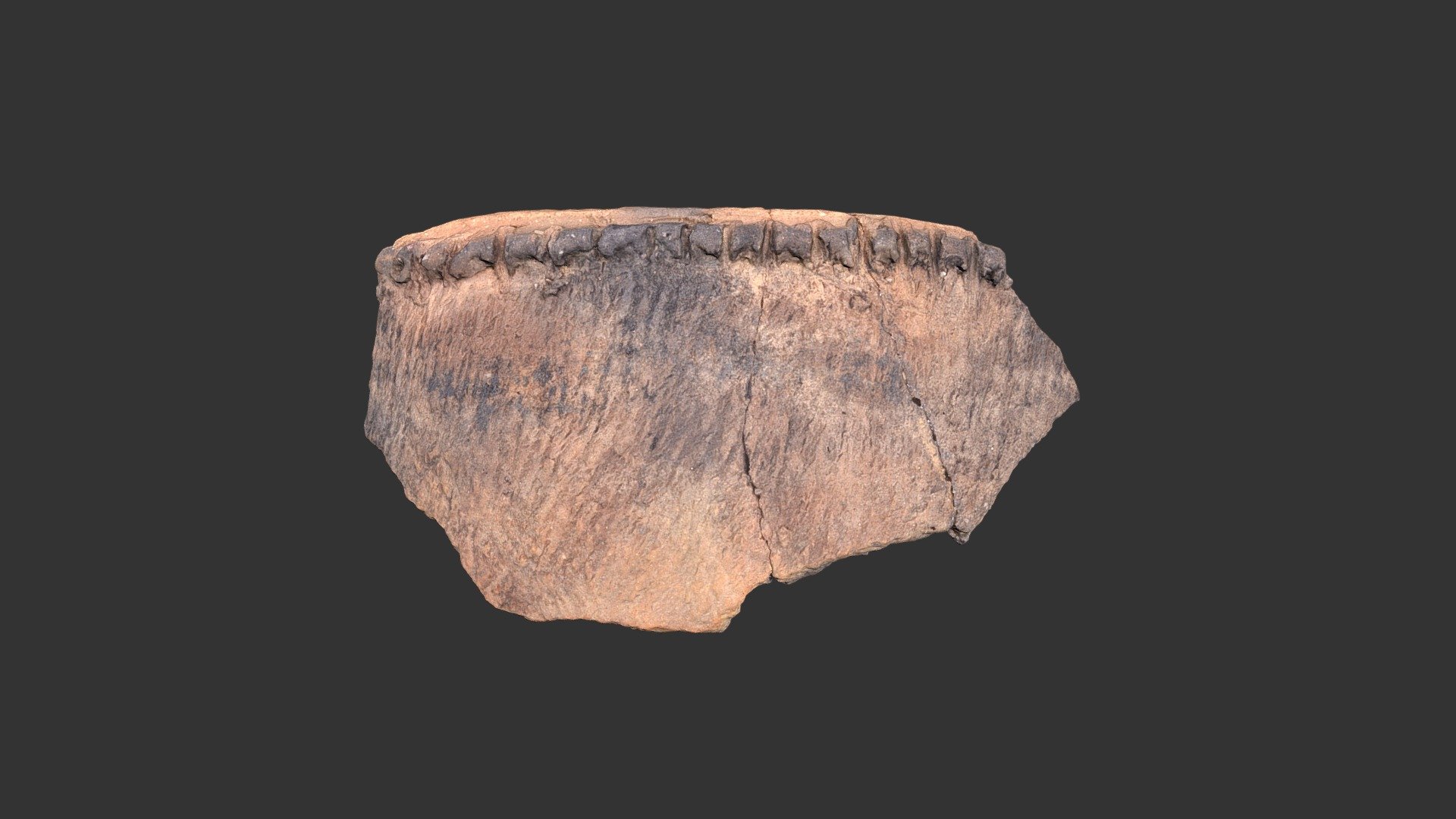 Uwharrie Cordmarked Jar Rim (2238p1464) - Download Free 3D model by RLA ...