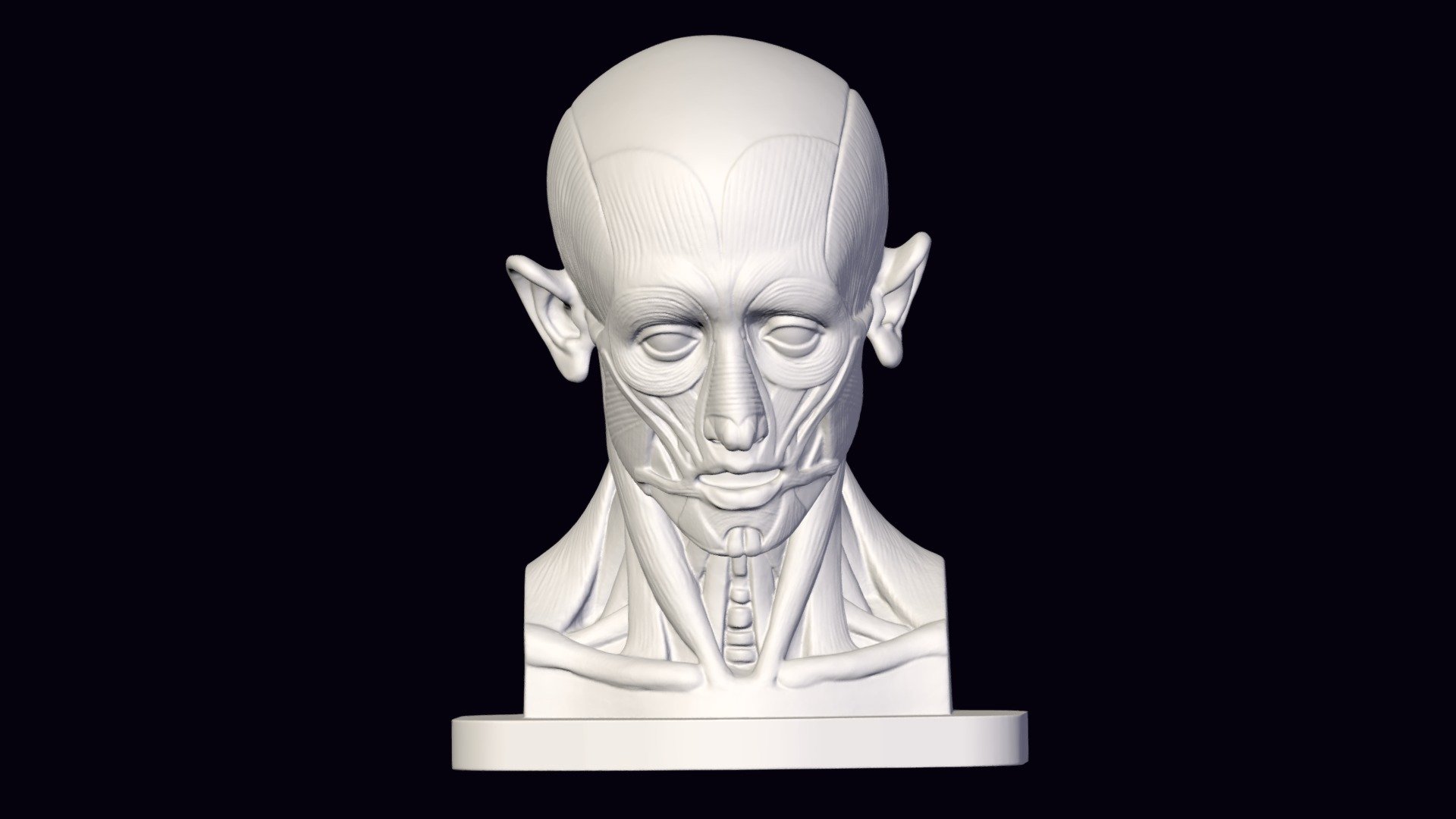 muscular head ( 2021) - Buy Royalty Free 3D model by RezaRokh [3834874 ...