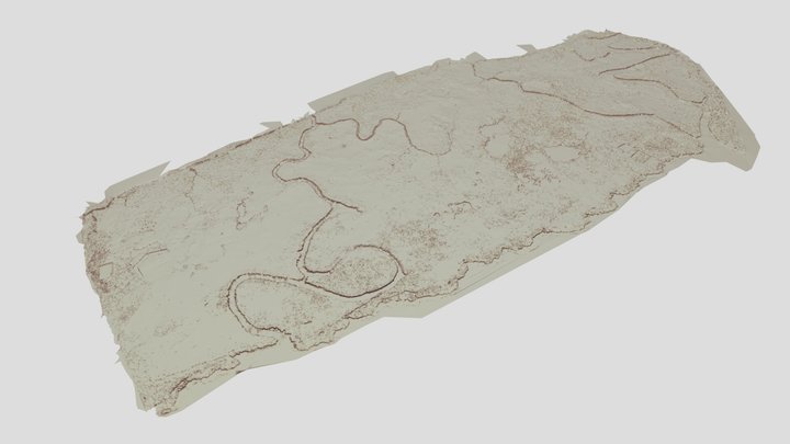 Sea-level-rise 3D models - Sketchfab