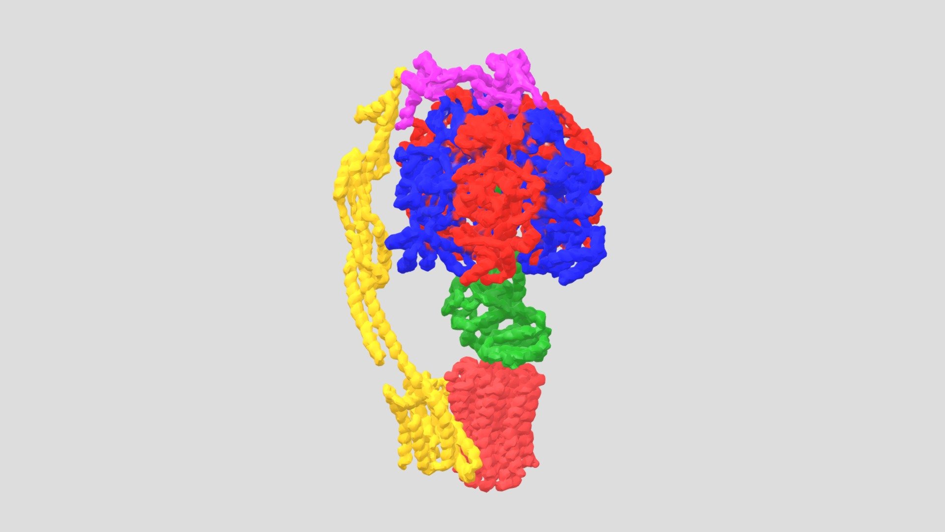 ATP Synthase - Download Free 3D model by Vera4Art (@Elvera.Viljoen ...