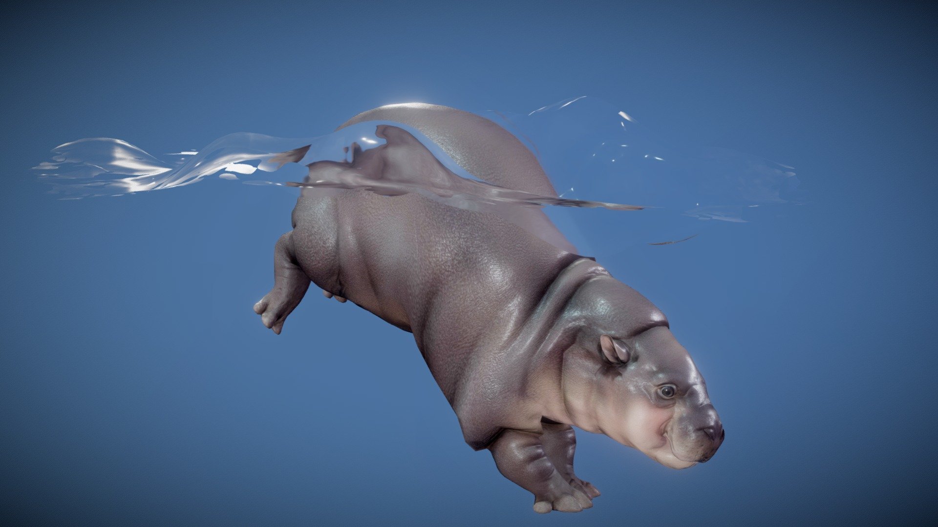 Baby Pygmy Hippopotamus ( swimming ) - 3D model by Nestaeric [383e75d] - Sketchfab