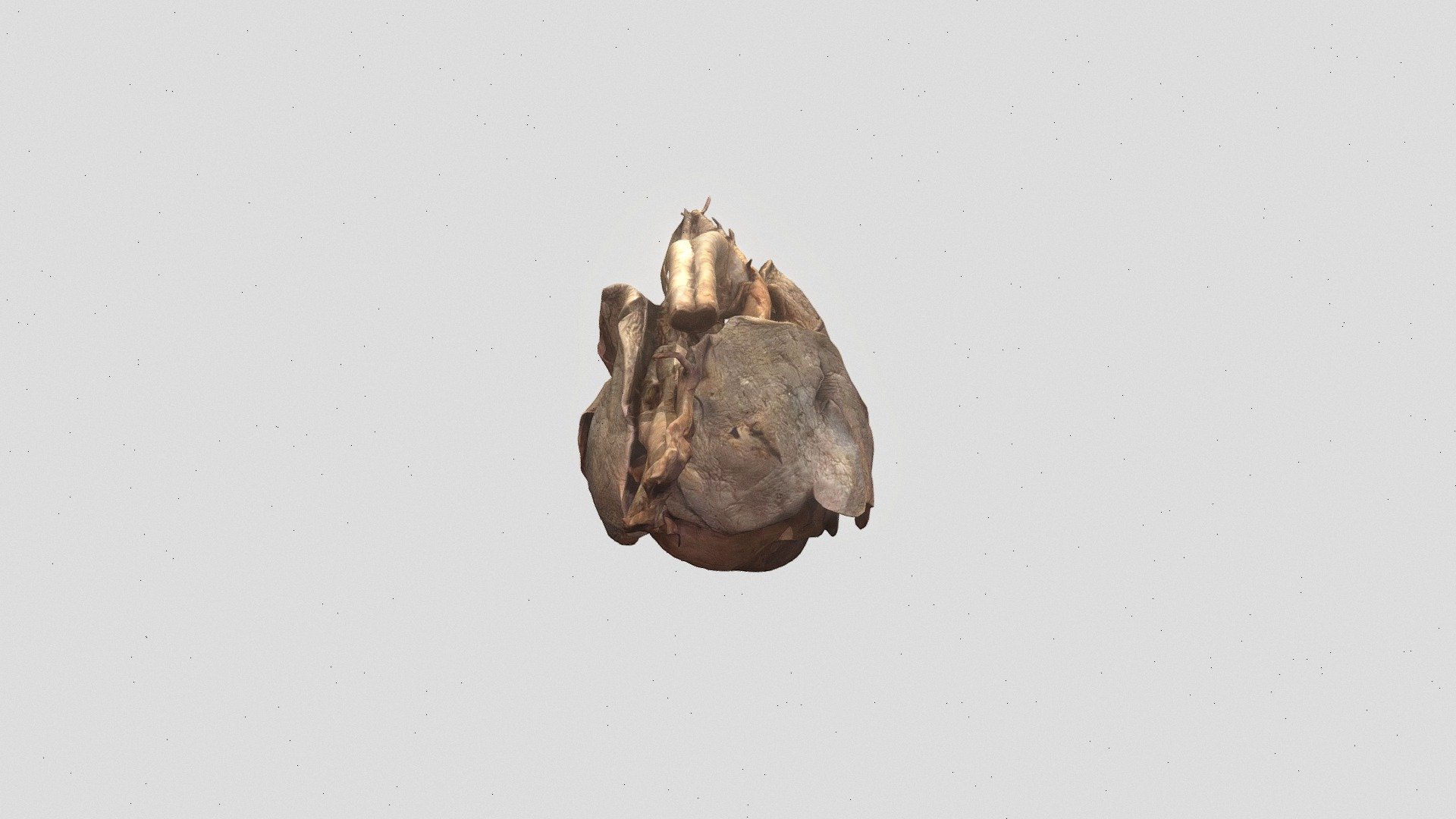 textured-mesh-lowpoly-obj (1) - 3D model by diego.henao4 [383f89c ...