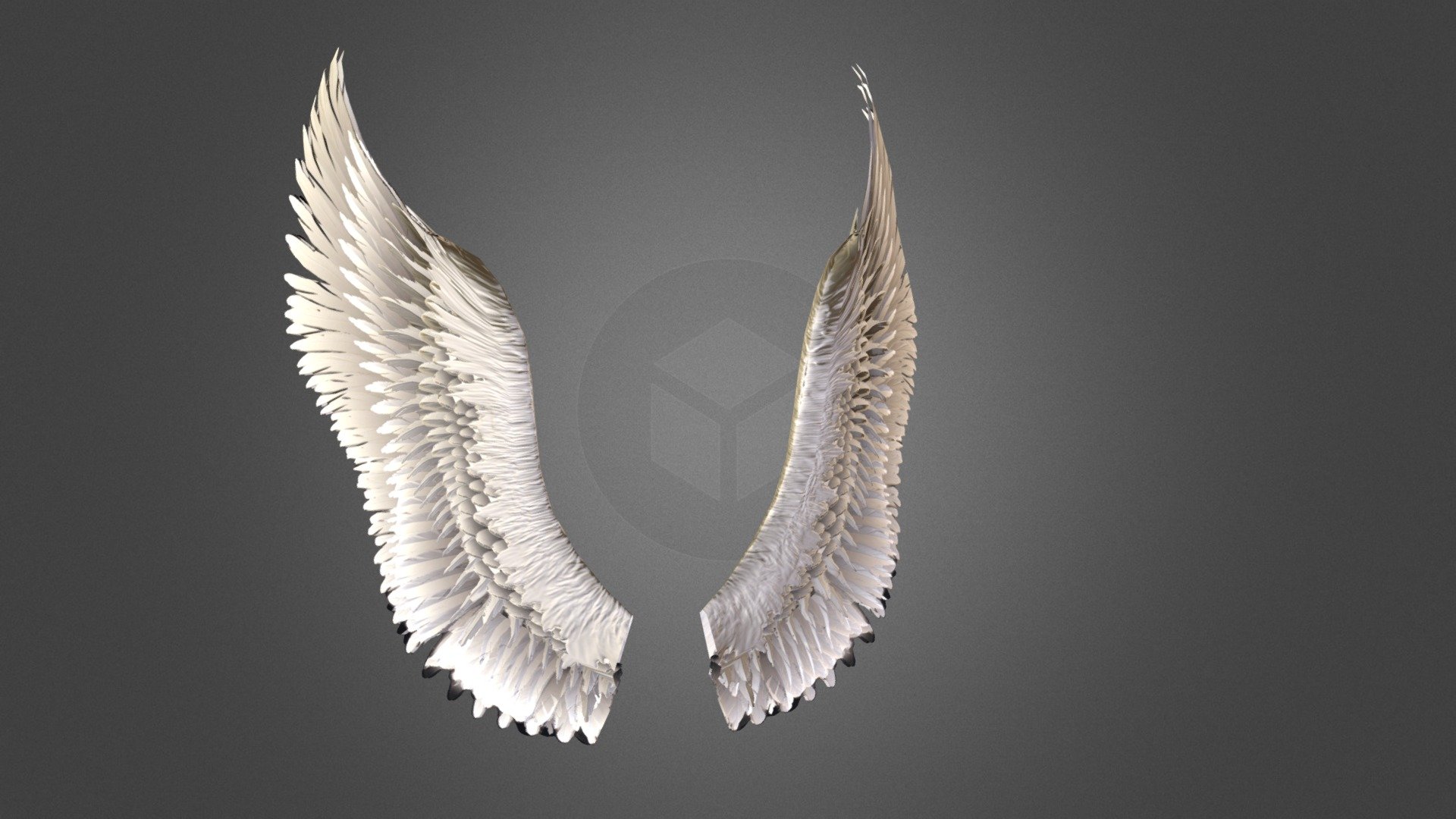 Angel Wings - 3D model by Portalarium [3853ca0] - Sketchfab