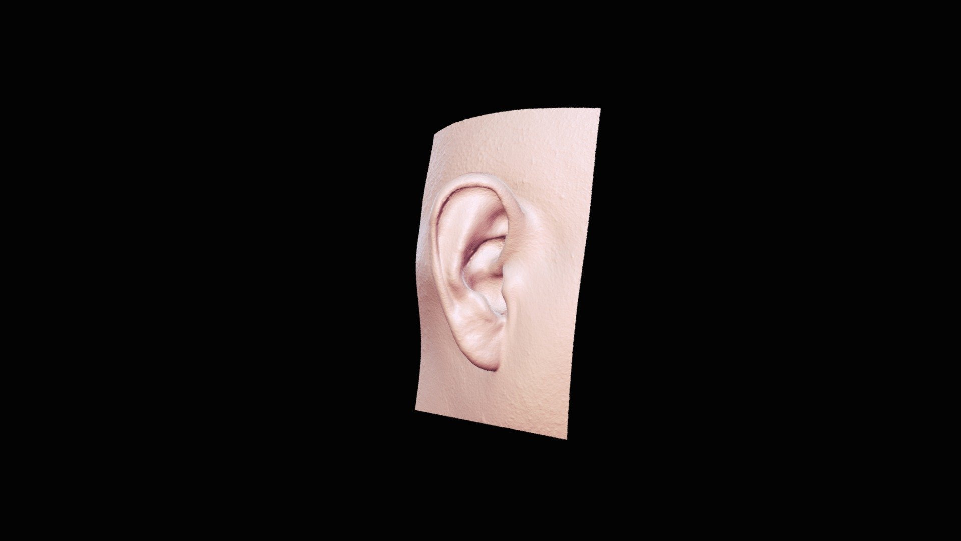 Ear - 3D model by Thunk3D 3D Scanner (@Lily.Qin1) [385593f] - Sketchfab