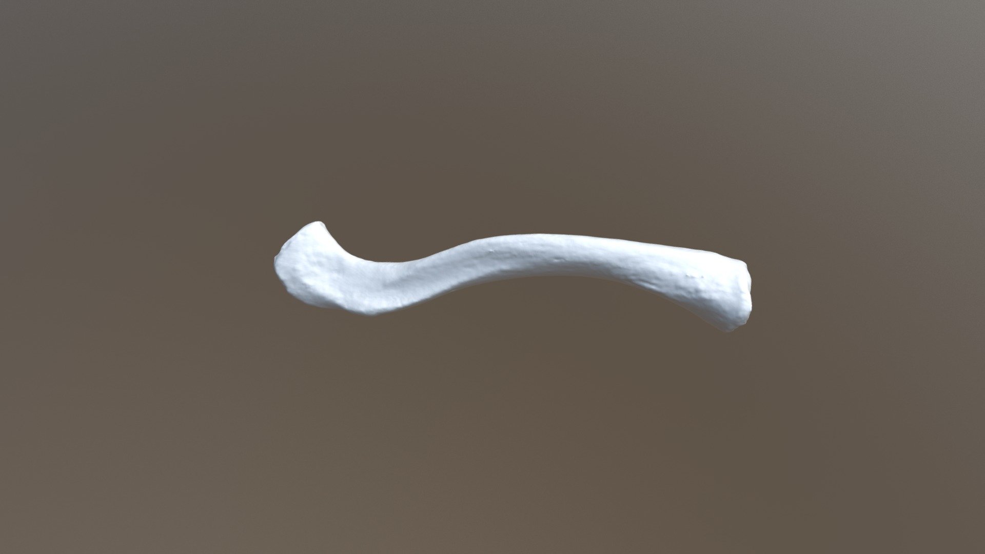 Clavicle - 3D model by acpe [3857546] - Sketchfab