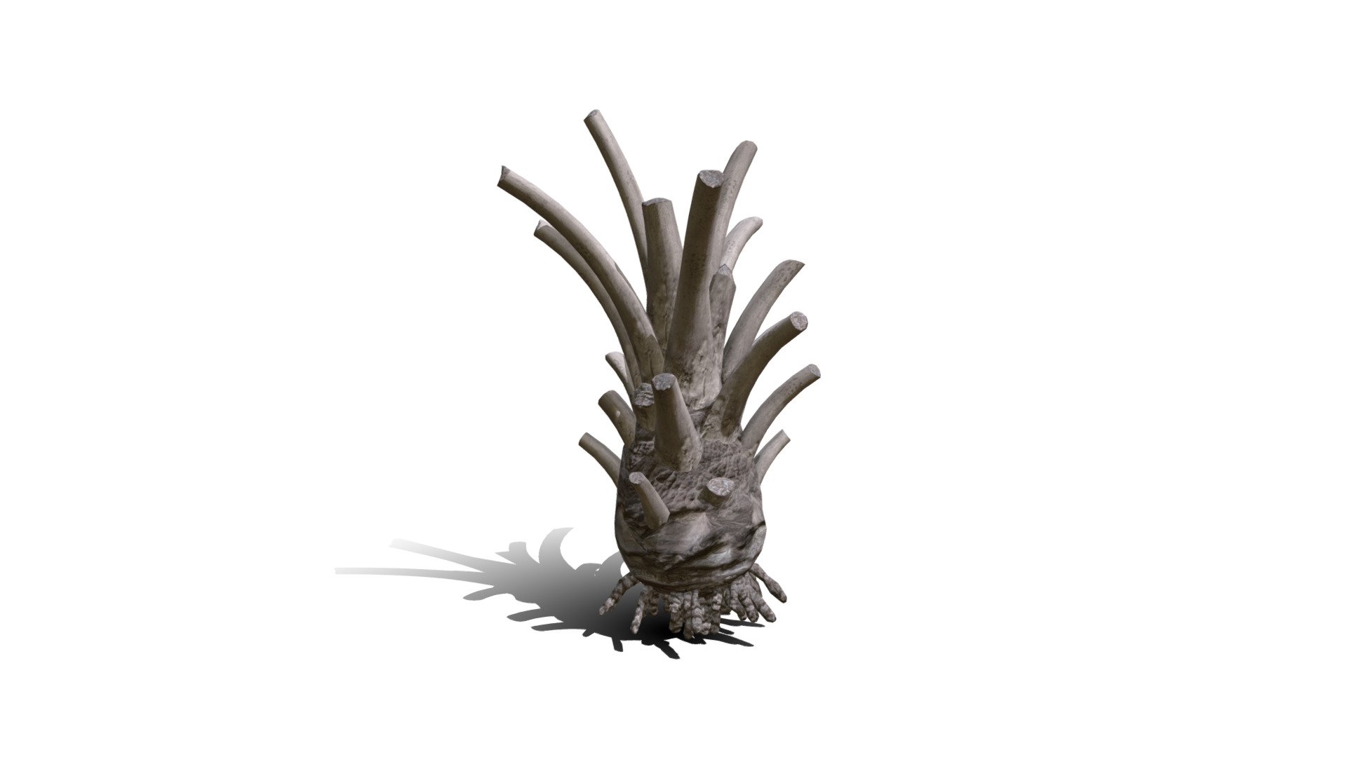 Realistic HD Date palm (69/78) - Download Free 3D model by PlantCatalog ...