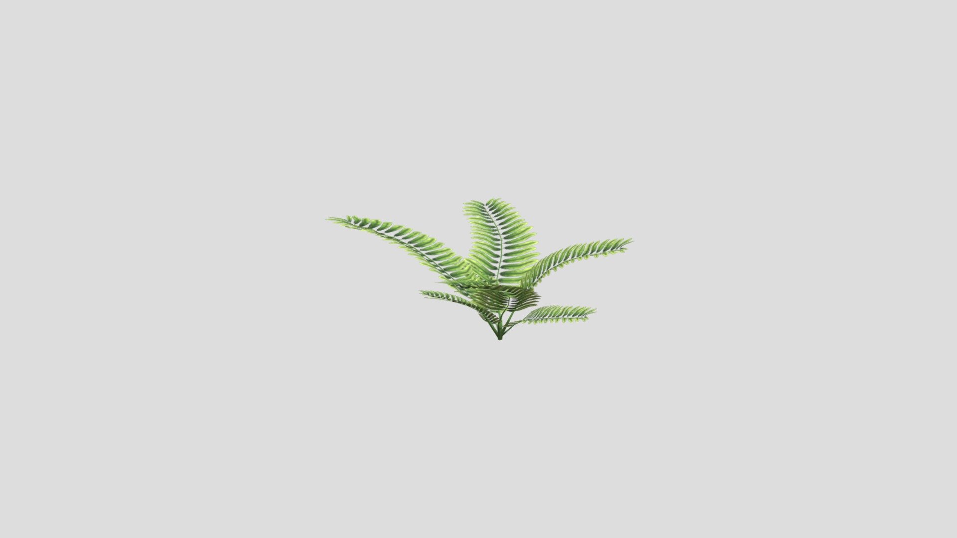 Stylized Fern - 3D model by Morie66 [385b736] - Sketchfab