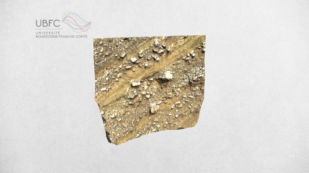 Sedimentary - Structures - A 3D model collection by Buoncristiani JF ...