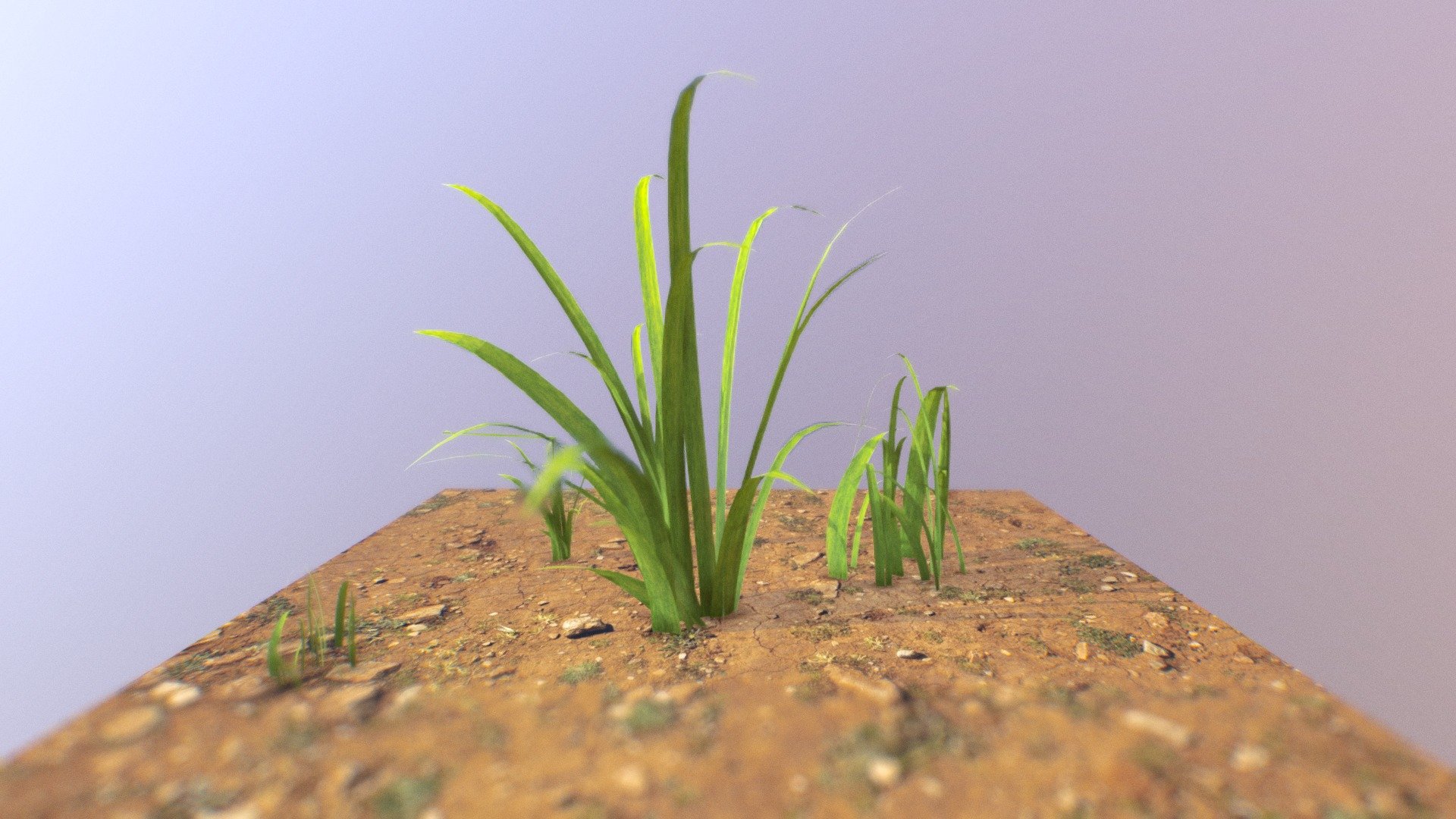 Grass - 3D model by millerovad [385f5cf] - Sketchfab