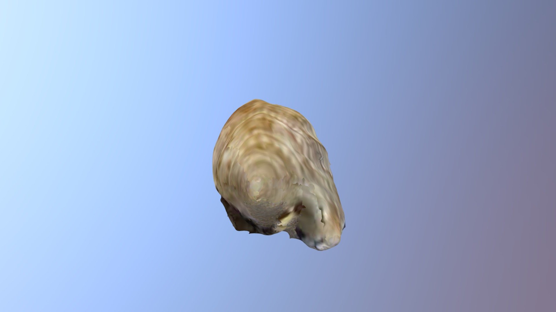 Diana conch - 3D model by dlindeman [3863d20] - Sketchfab