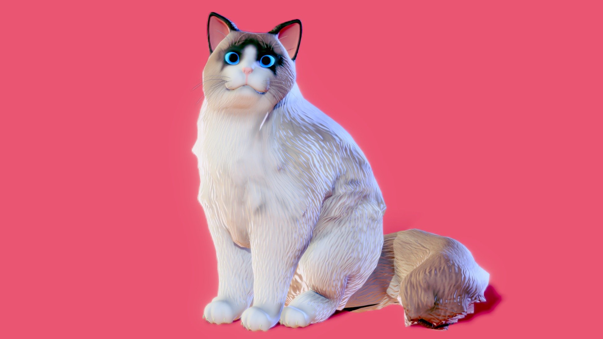 Low poly - Stylized cats - Ragdoll Cat - Buy Royalty Free 3D model by ...