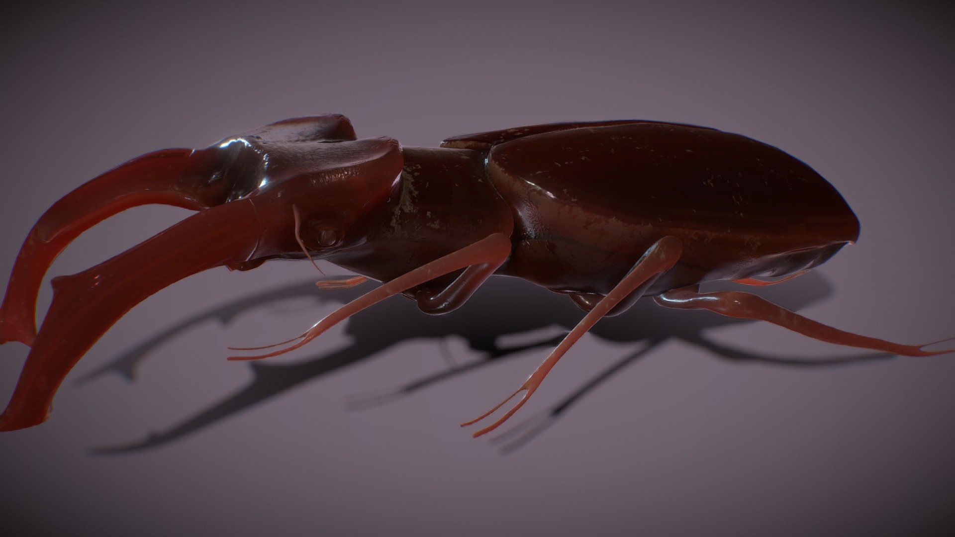 Deer Bug [ hand painted ] - 3D model by Idmenthal (@idmental.id ...