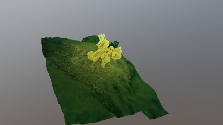 Cloudsponge 3D models - Sketchfab