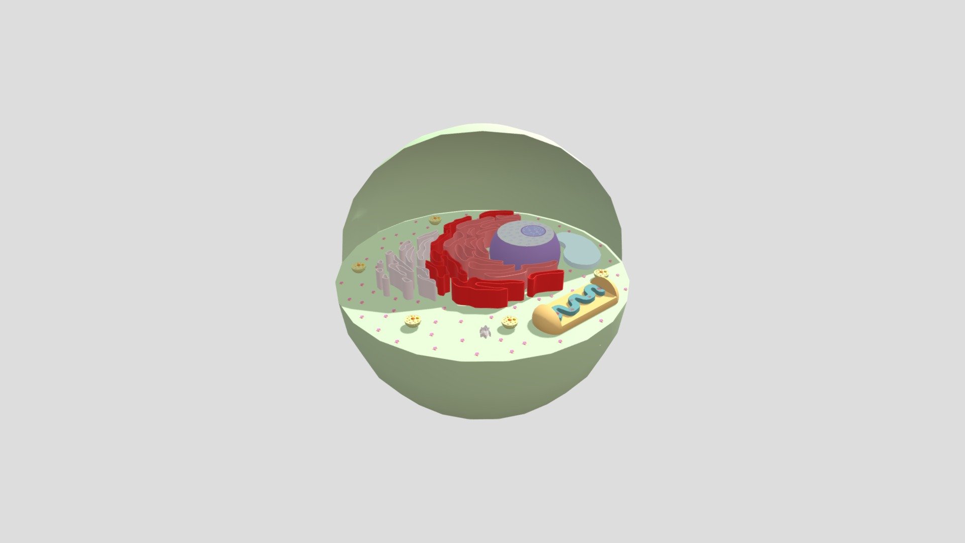 Cellula definitiva - 3D model by luca.castiglioni [3873c4f] - Sketchfab