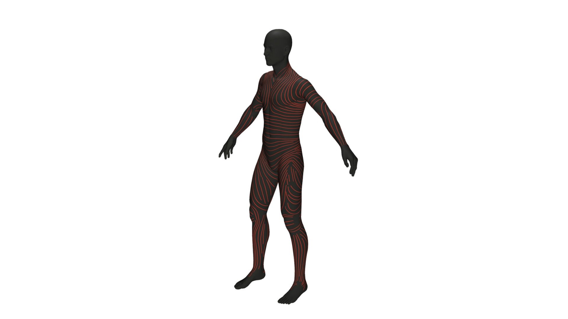 Langers Lines - Download Free 3D model by Atacac [388173e] - Sketchfab