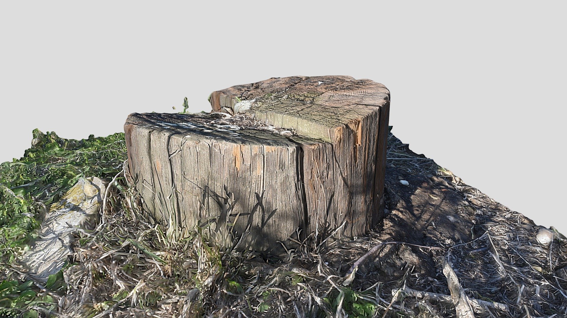 Stump 5 - Download Free 3D model by sv.stats [3887a60] - Sketchfab