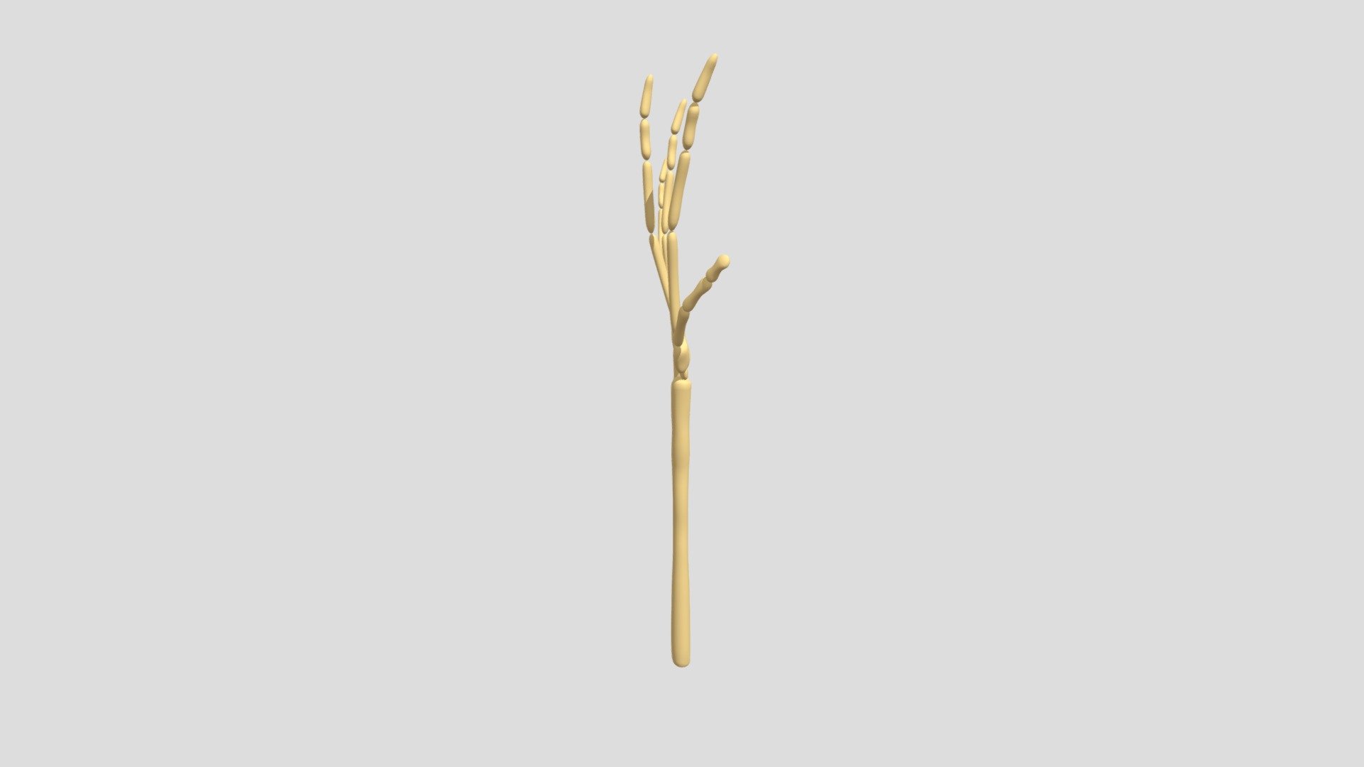 Skeletal-Hand-Hero-Asset - 3D model by turtleinthebusiness [388d40f ...