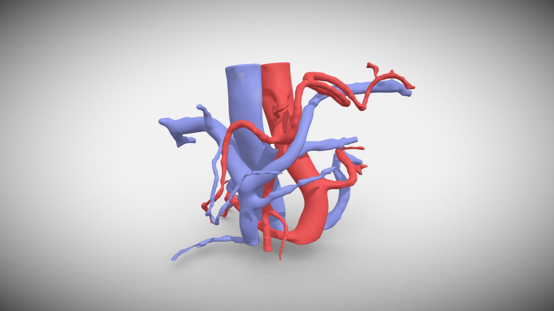 Nr3 - 3D model by Imre J. Barabás, MD, M.Sc. (@Uzzias18) [388d67f ...