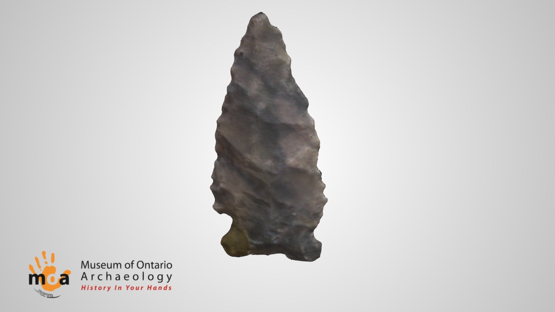Projectile Point - Logan Site 11614 - 3D model by MuseOntArch [389892f ...