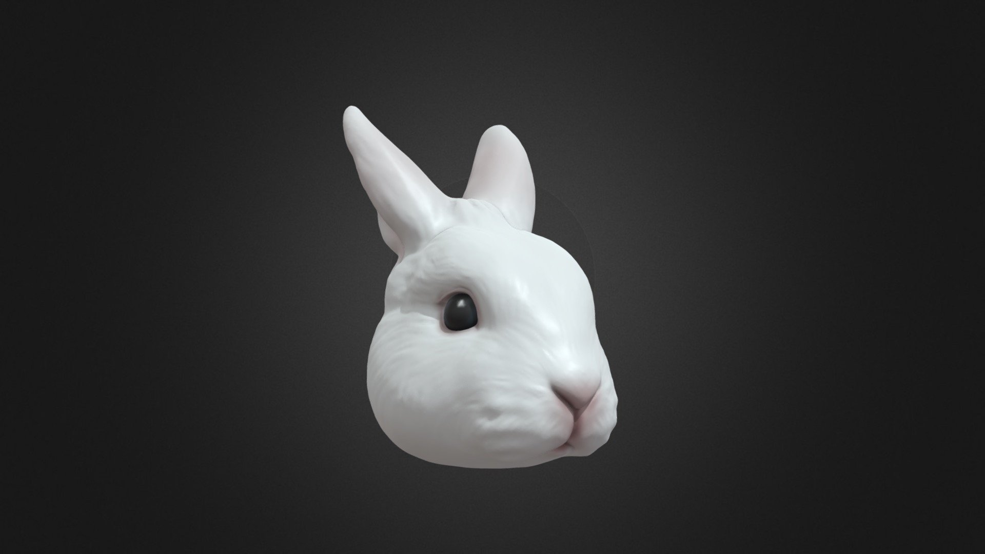 Jacob Ng's rabbit model - 3D model by Seed by mi (@seedbymi) [389cc57 ...