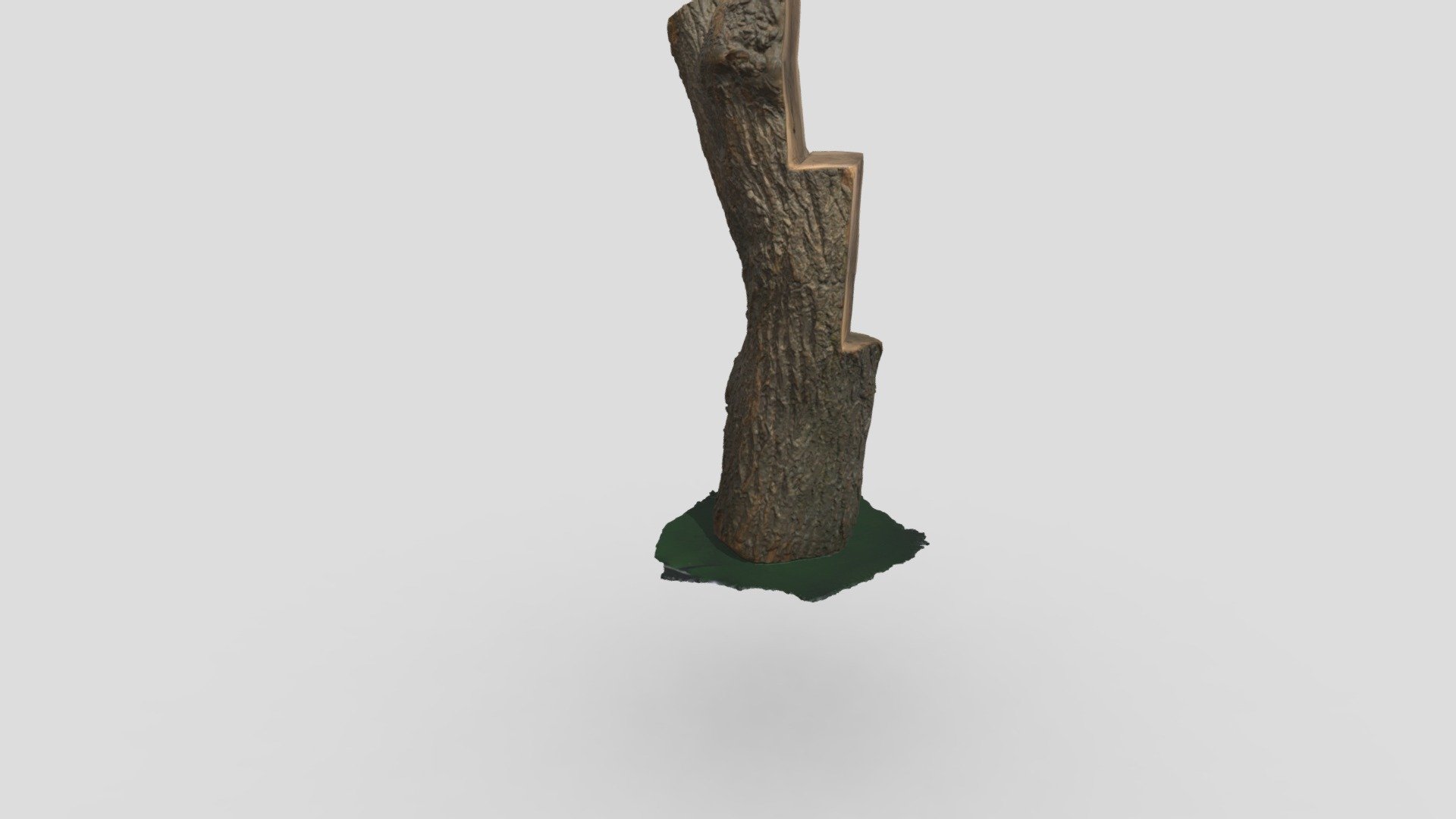Tree Root - 3D model by iReal 3D (@iReal-3D) [389e3b6] - Sketchfab