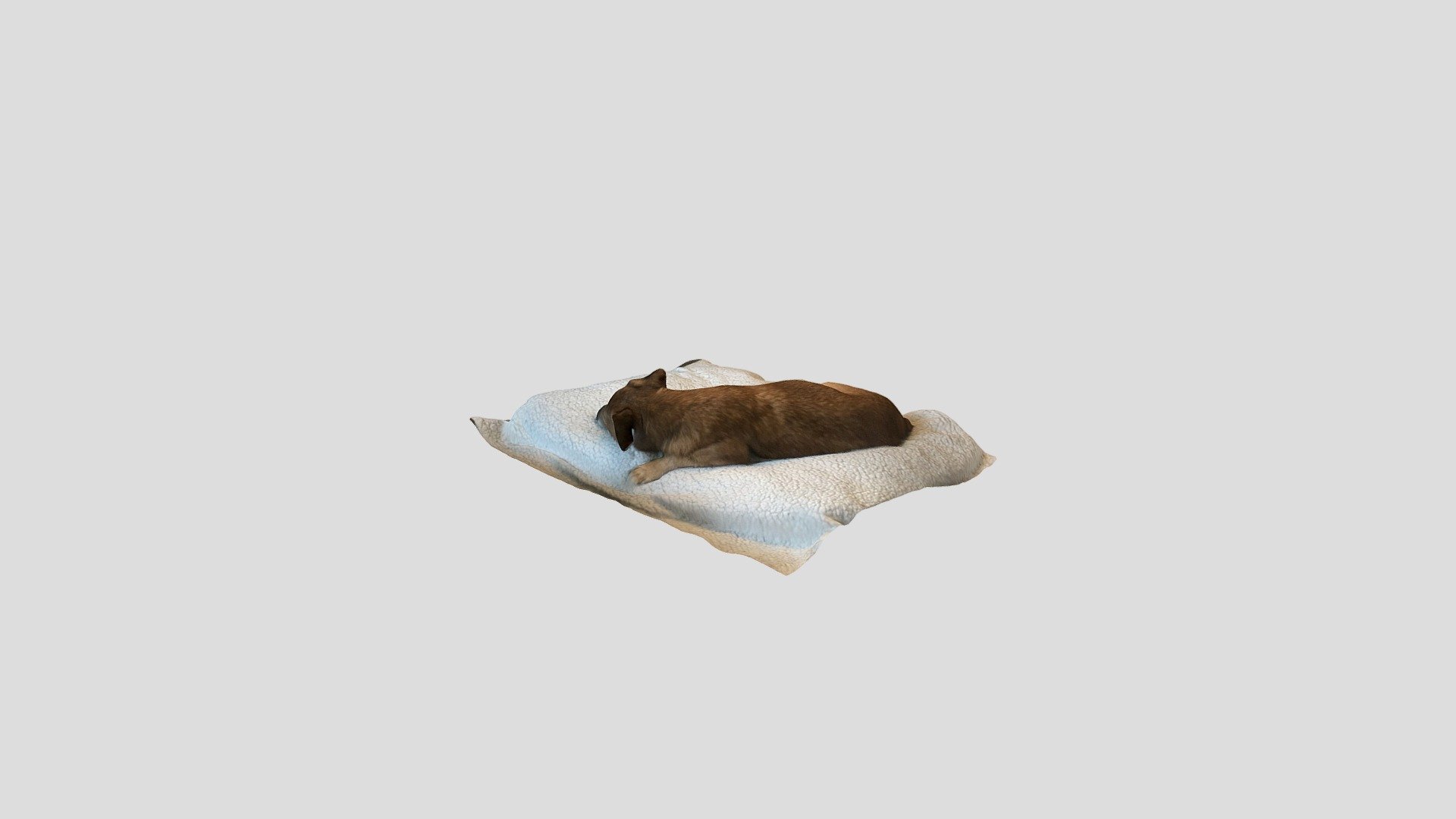 Tyke_a - Download Free 3D model by TykeHunt18 [38a7d80] - Sketchfab