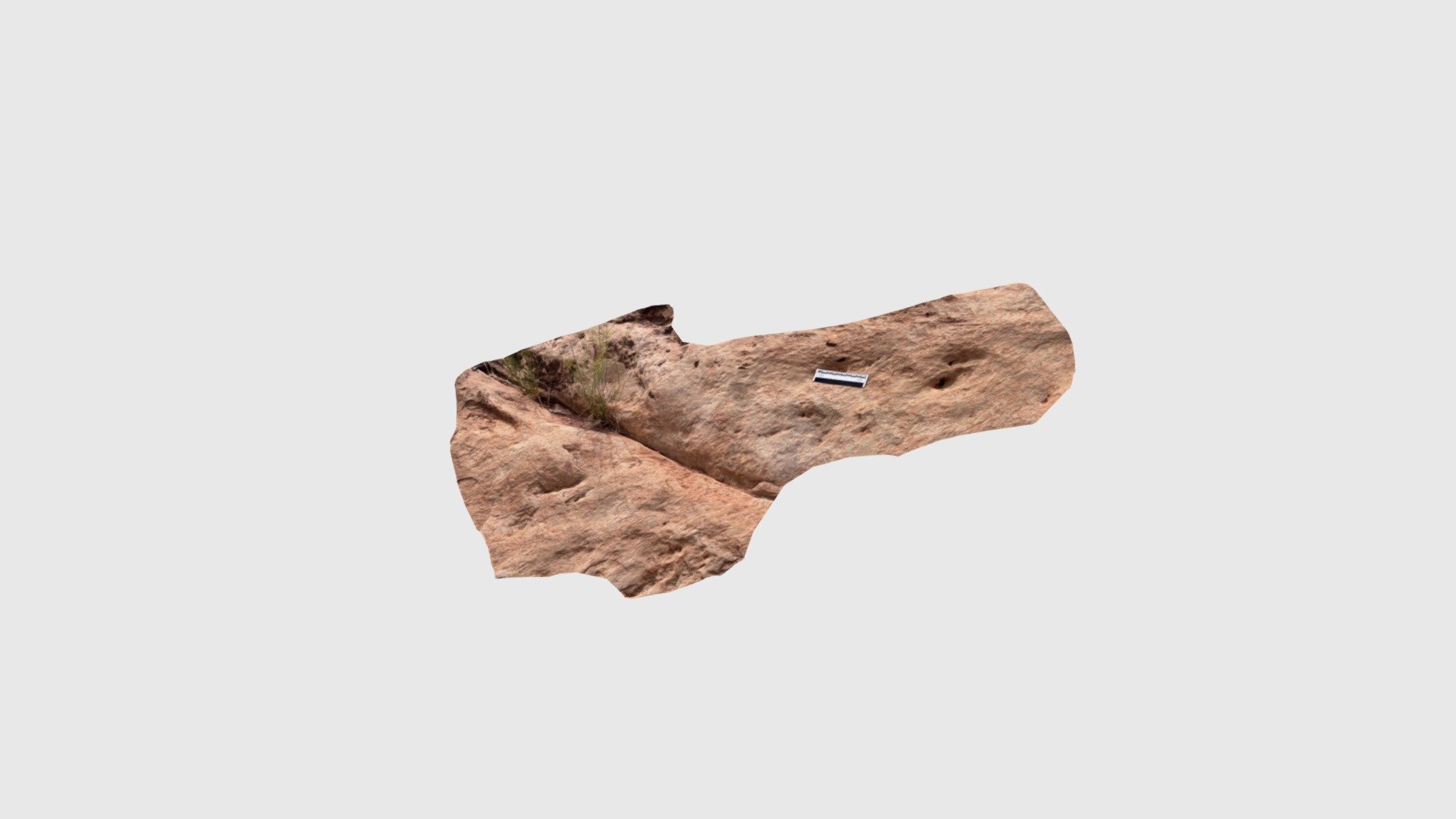 Ws0476T Grallator Trackway - Download Free 3D model by larkin.mccormack ...