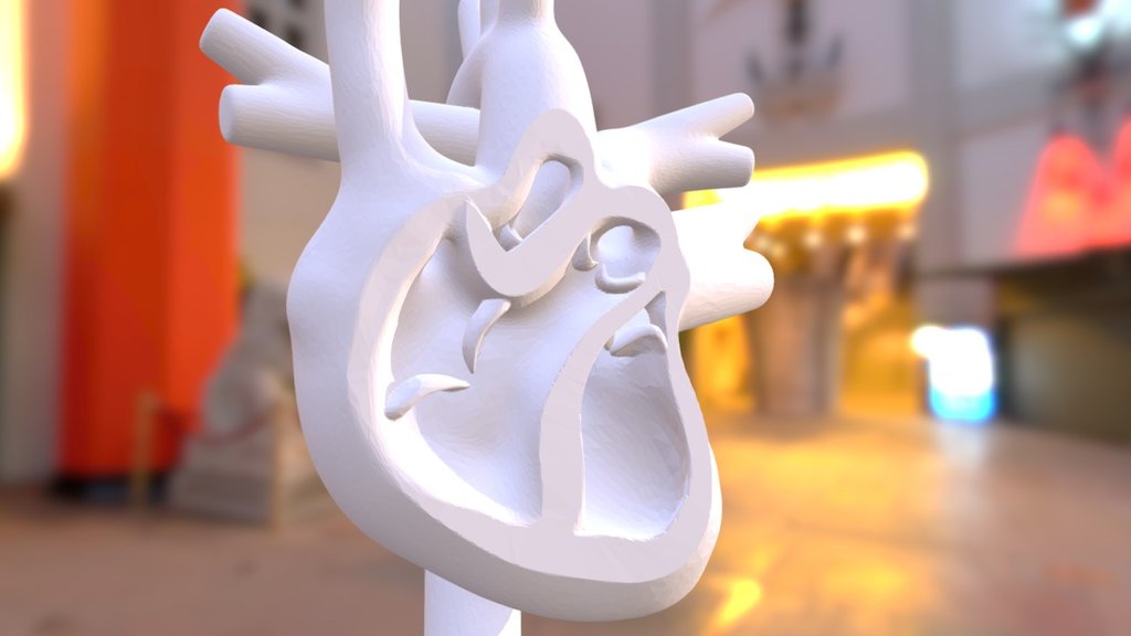 Heart Dissection - 3D model by CrimArt [38b79a4] - Sketchfab