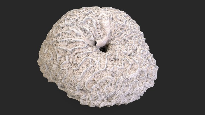 Z3d 3D models - Sketchfab