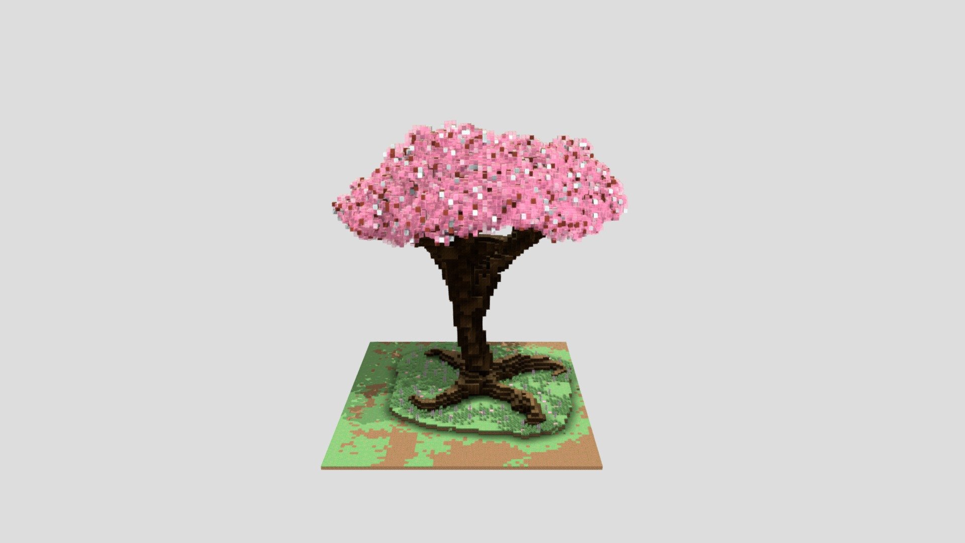 sakura-tree - Download Free 3D model by madexc [38c1bd6] - Sketchfab