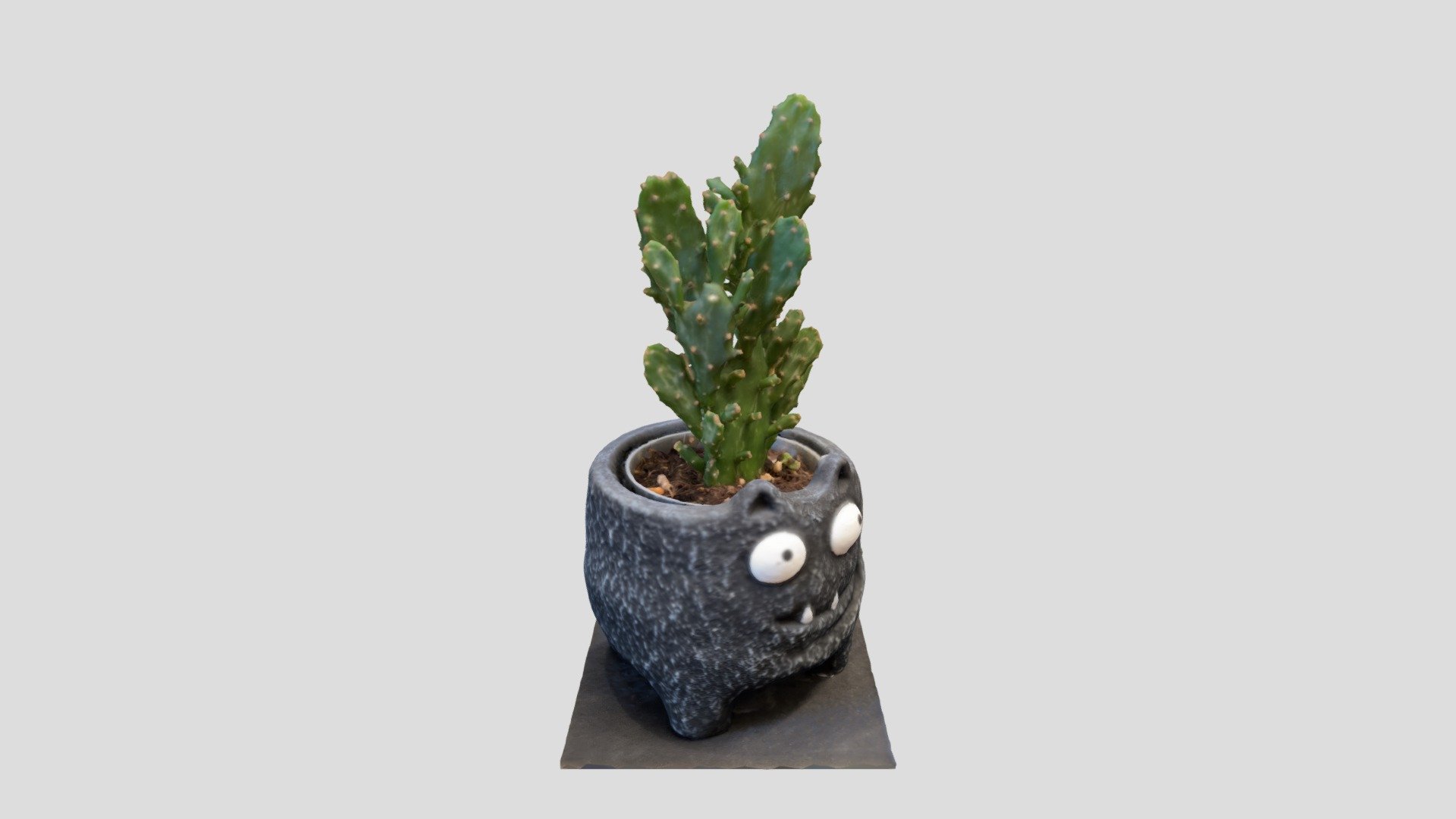 Funky Cactus - Download Free 3D model by Mateja Olujić (@Mateja.Olujic ...