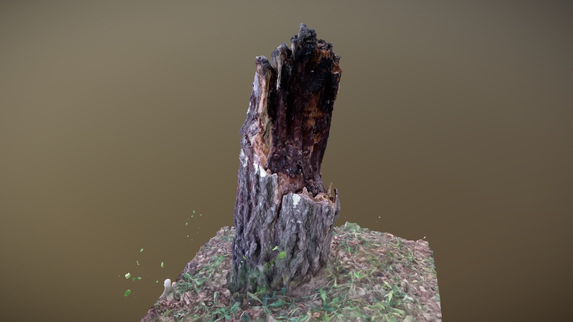 Decrepit stump: 3D Scan Reference - 3D model by Qbit Emotion (@sergorc ...