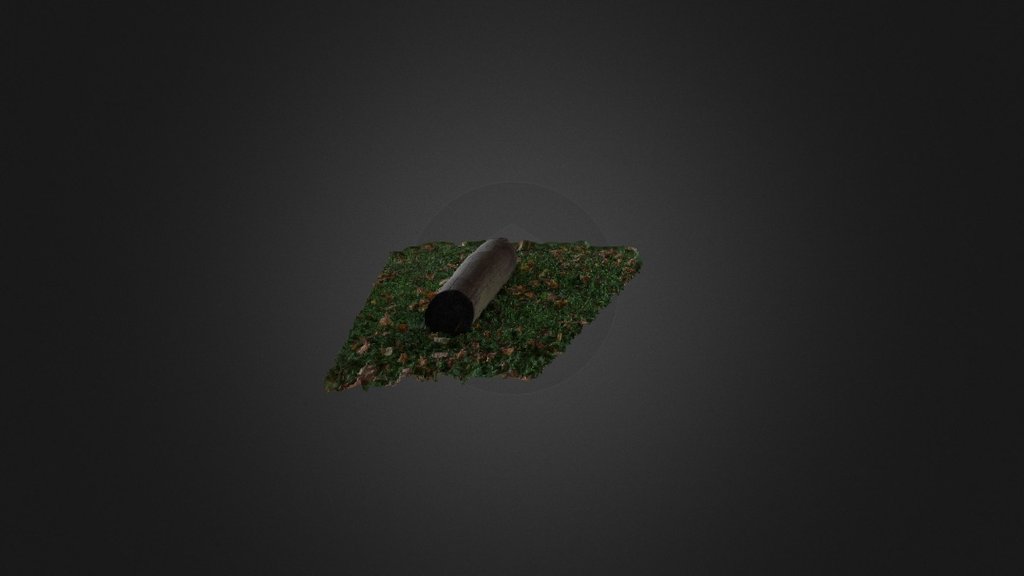 Log - 3D model by tytantroll [38cd036] - Sketchfab