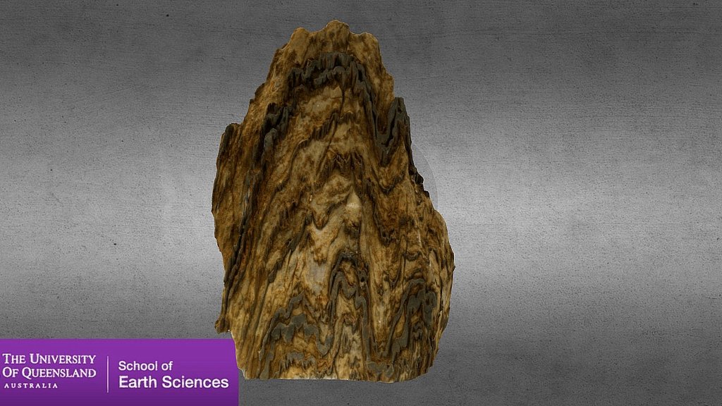 Parasitic Folding in Marble w/ Siltstone - 3D model by nate_siddle ...