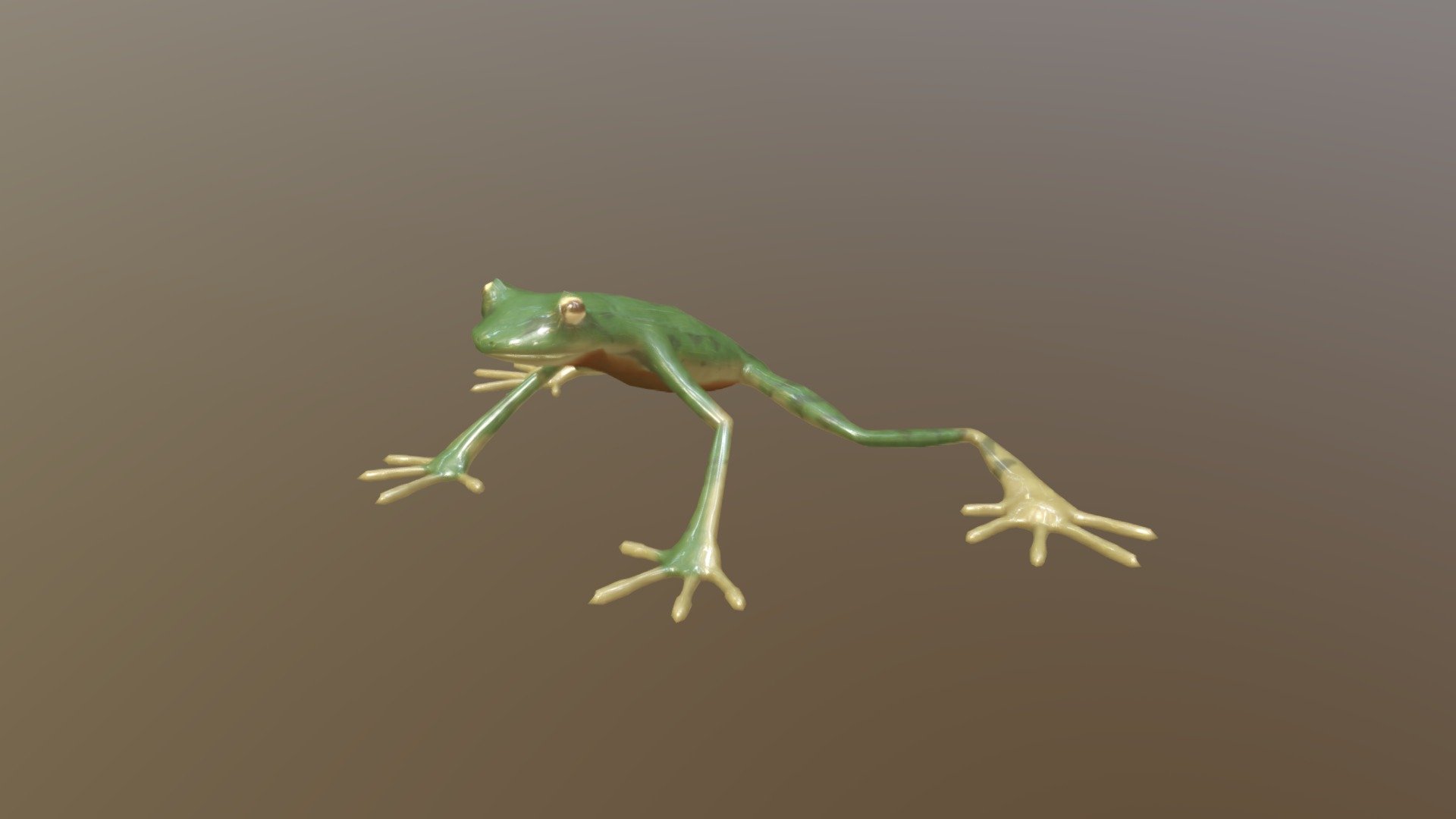 Frog - 3D model by pmamalakis [38d5580] - Sketchfab